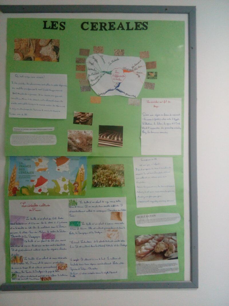 Exposé sur l'agriculture par la classe de CM1 - Institut Ibn Badis